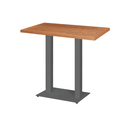 Bistrotisch ALFA BAR DUO grau mit FURNIERTE-Platten | Mextra